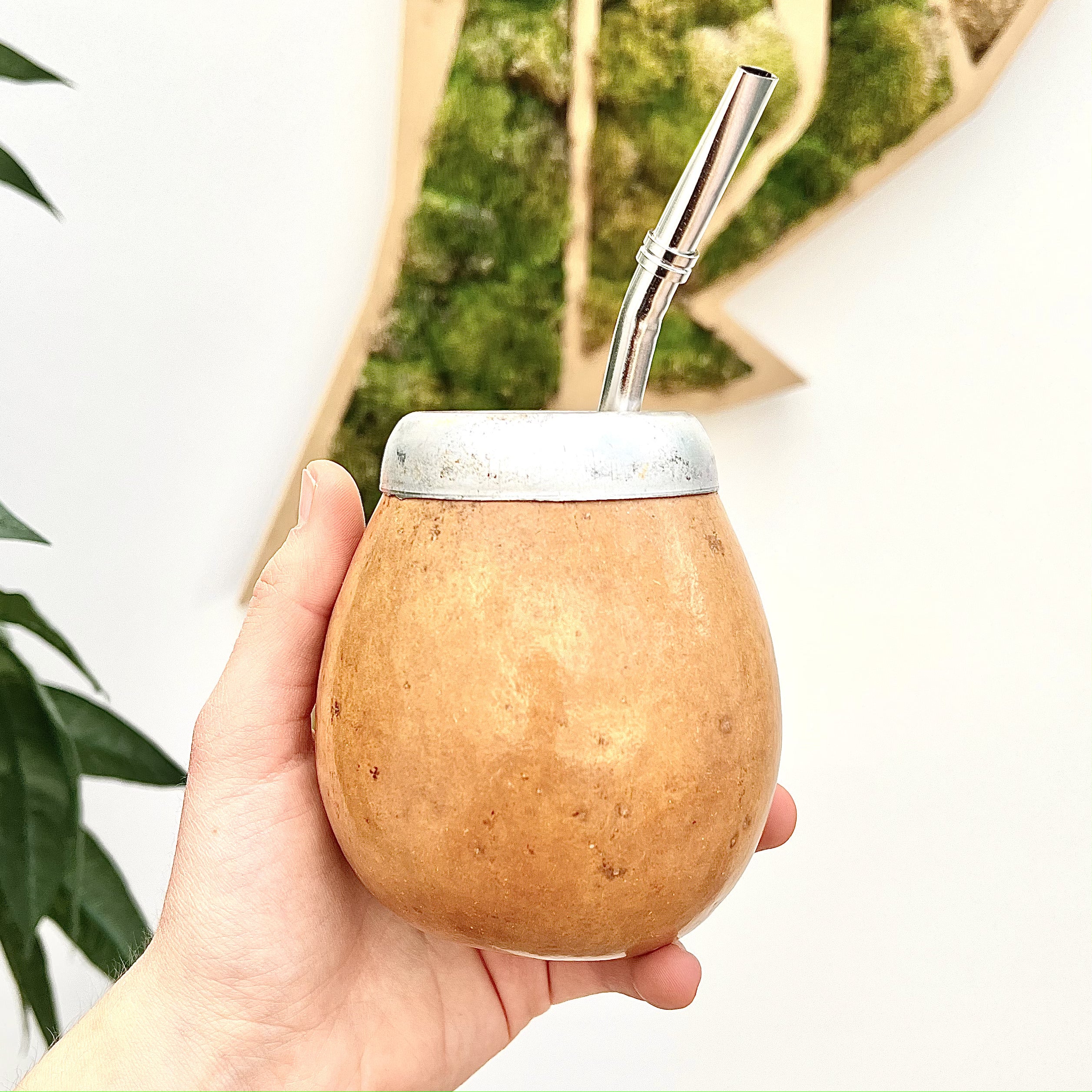 Calebasse à maté traditionnelle en courge – The Vegetal Lab Experience